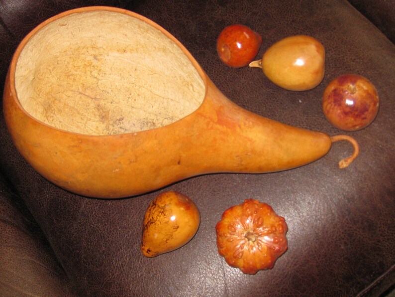 LARGE GOURD ART Display Gourd With Small Gourds Inside Large - Etsy