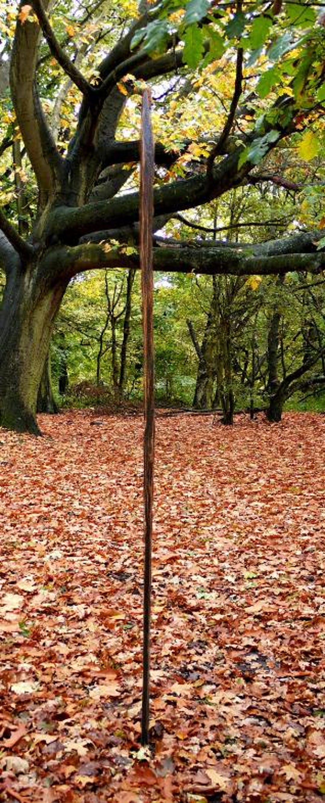 Hiking Stick Made From Reclaimed 100 Year Old Kentucky Tobacco Stick ...