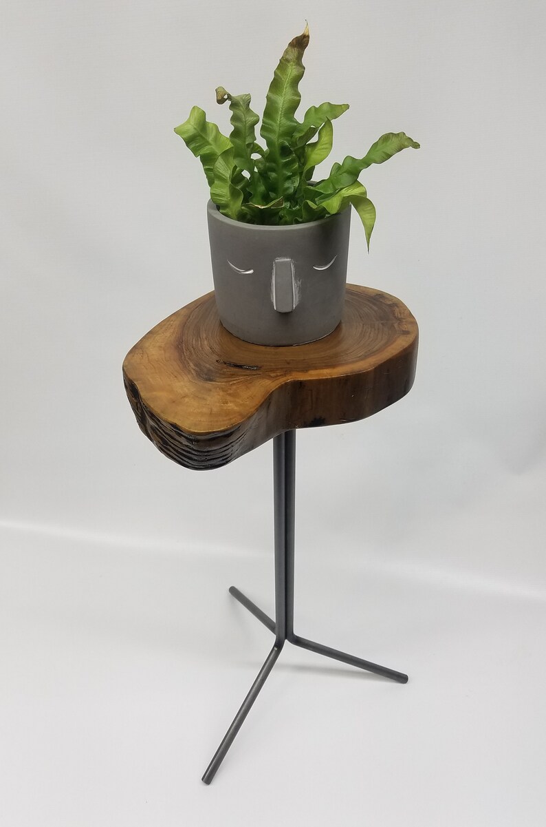 Side Table End Table Plant Stand Live Edge Steel Base - Etsy