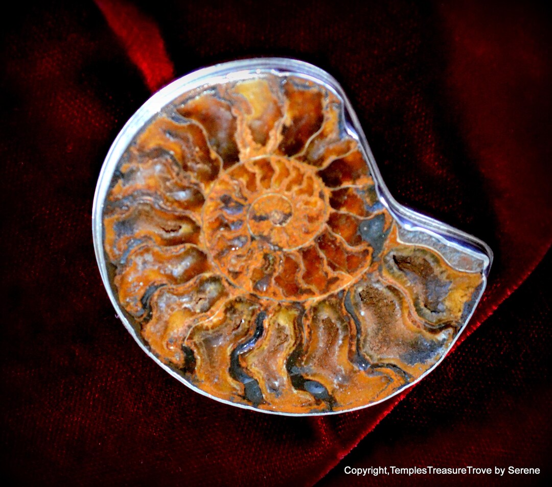 Ammonite and Sterling Pendant Fibonacci Spiral Pendant Fossilized ...