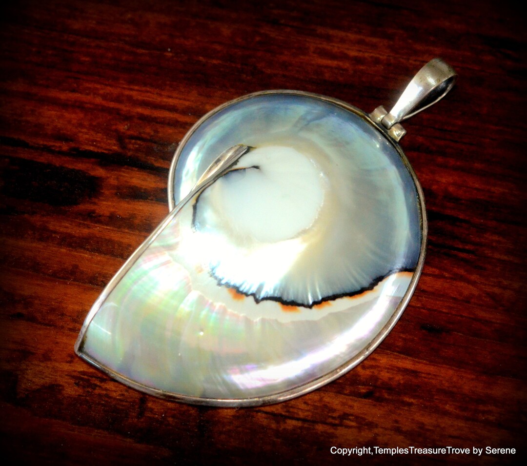 Natural Nautilus Shell Slice Pendant925 Bali Silver With - Etsy