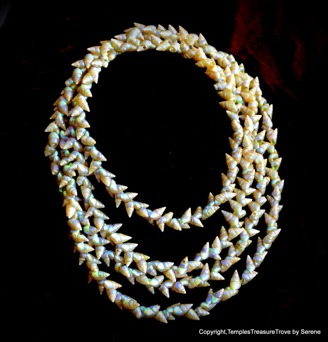 72" RARE Tasmanian Mairineer Shell Necklace~tasmanian Aboriginal ...