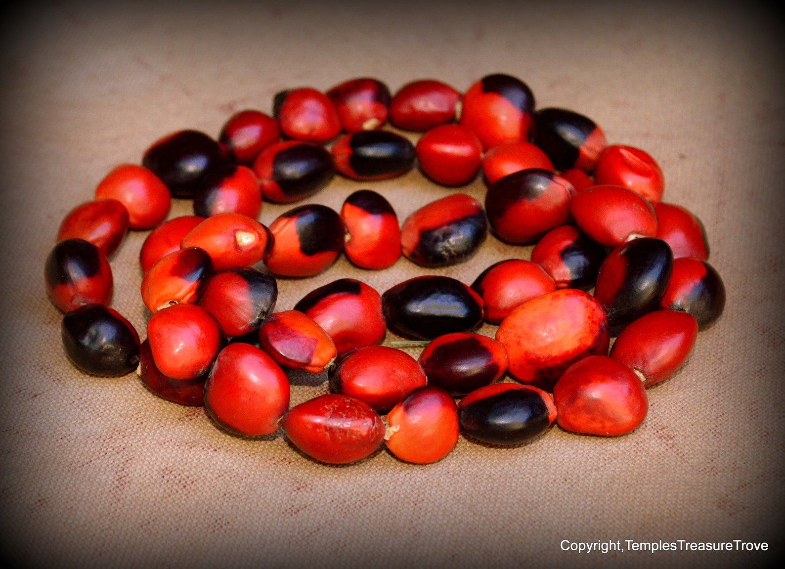 Huayruro Semillas Strand o Collar Wayruros Small | Etsy