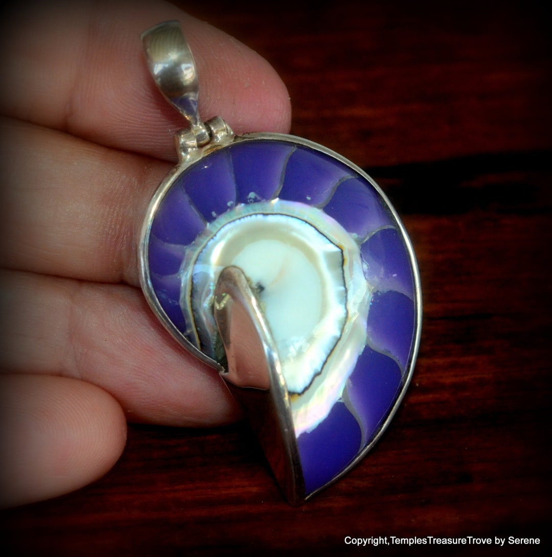 Natural Nautilus Shell Slice Pendantresin Back Fill Focal Beadsacred ...