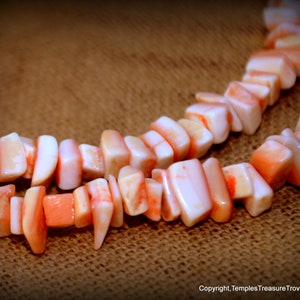 Red Lip Shell Heishi Beads 16.5 Inch Beachy Choker~peachy Pink Pastel ...