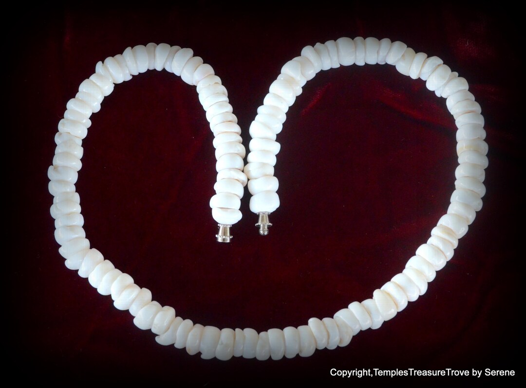 Classic Hawaiian Puka Shell Choker~ Circa 1970's Puka Shell Choker~puka ...