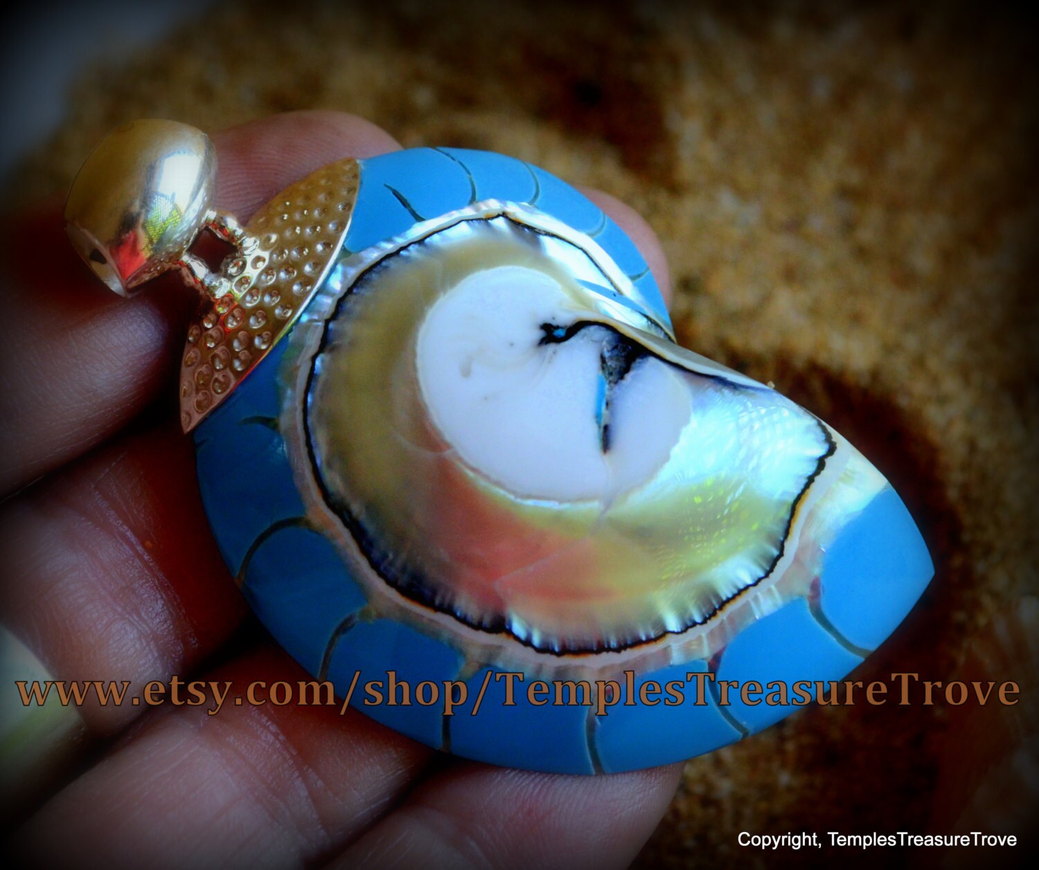 Natural Nautilus Shell Slice/ 925 Bali Silver With Beautiful Turquoise ...
