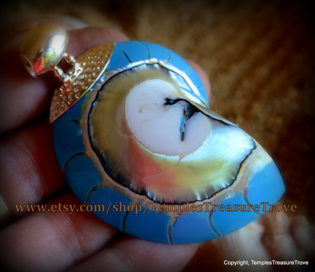 Natural Nautilus Shell Slice/ 925 Bali Silver With Beautiful Turquoise ...