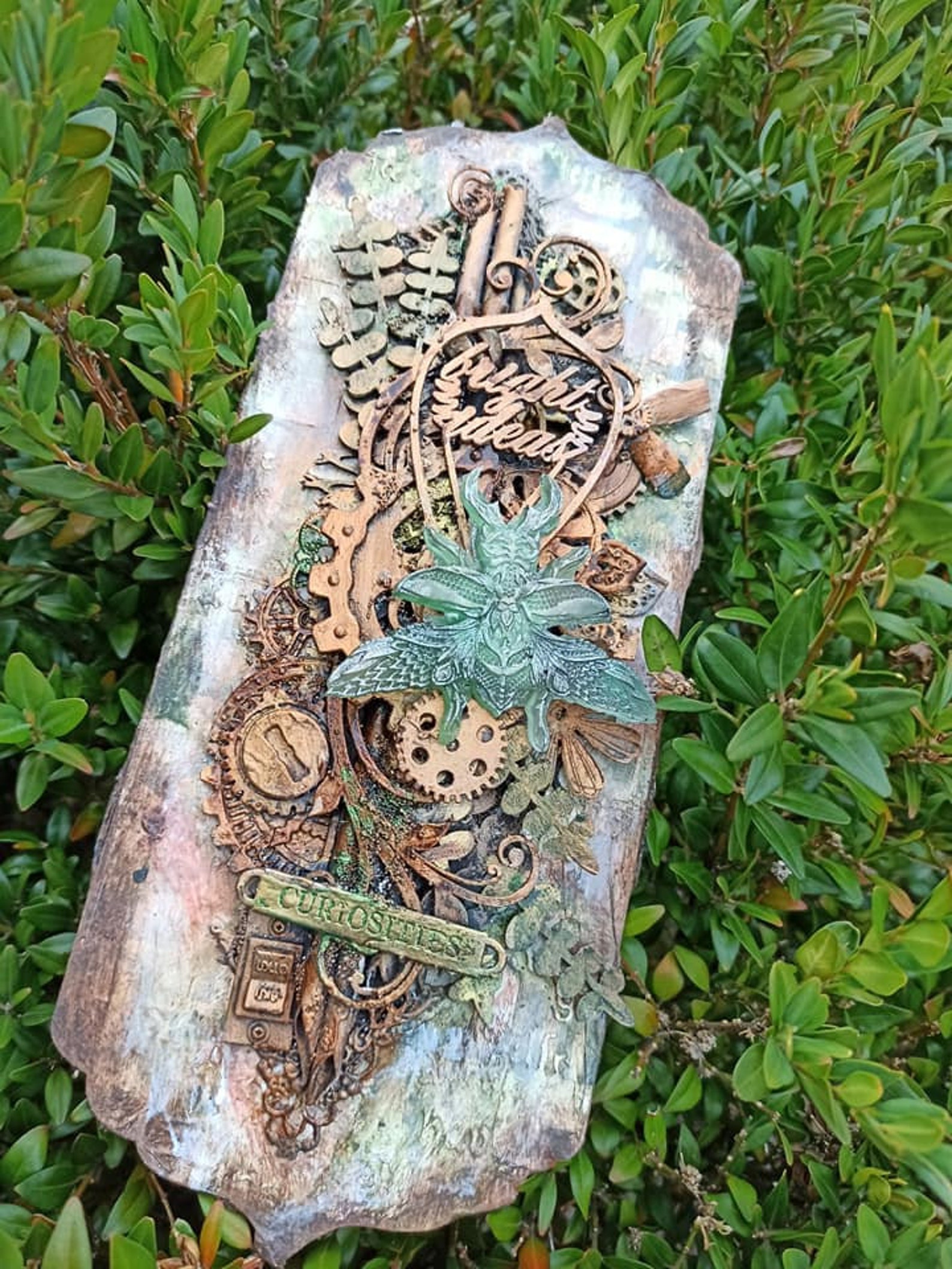 Zuri Designs Lovable Bugs Highly Detailed Silicone Mould for Furniture ...