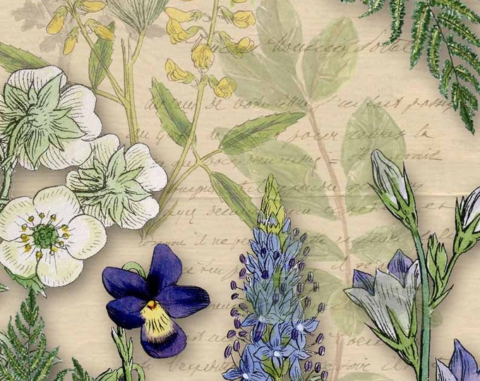 Decoupage Queen Botanical Letter A4 Rice Paper for DIY Projects ...
