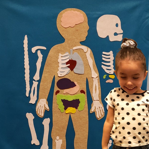 Human Body Felt - Etsy