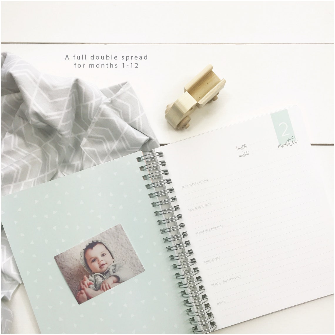 Baby Memory Milestone Book. 12 Month Baby Book. the First Year. Custom ...