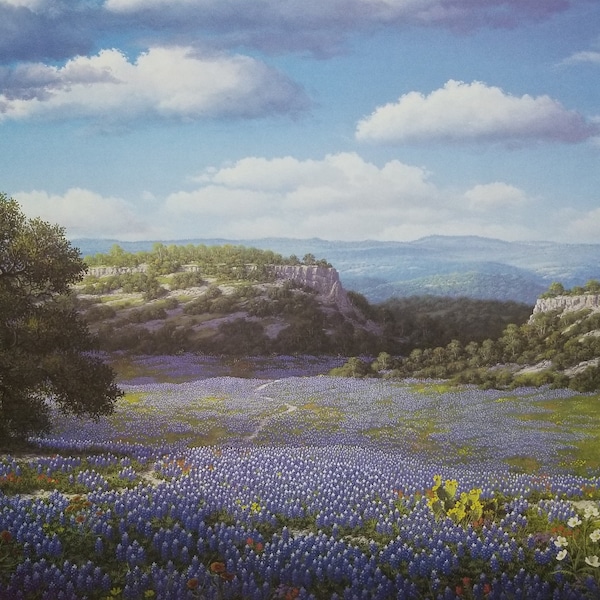 Texas Hill Country Art - Etsy