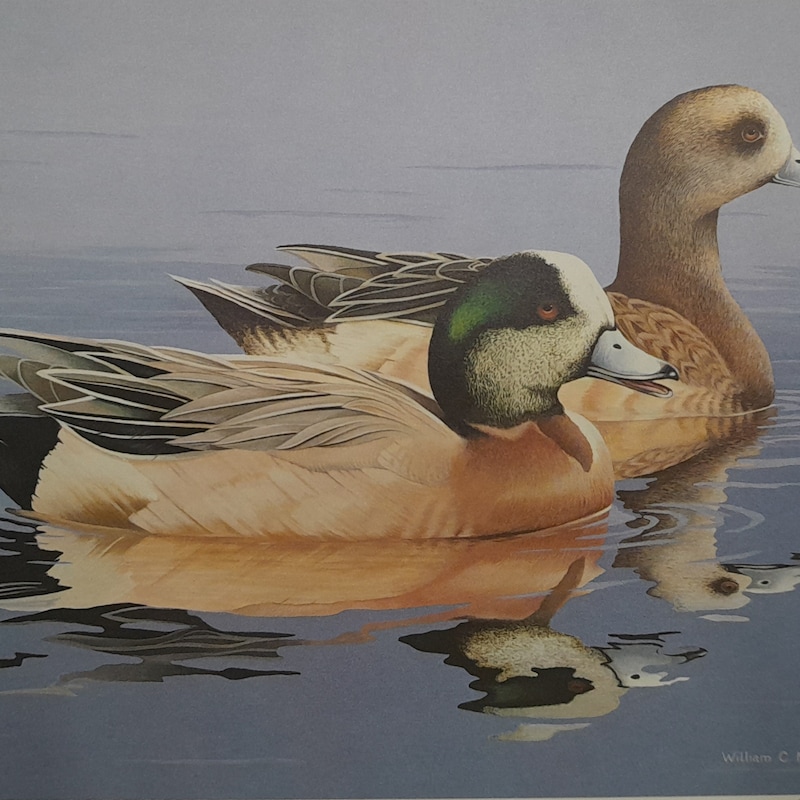 Waterfowl Decor - Etsy