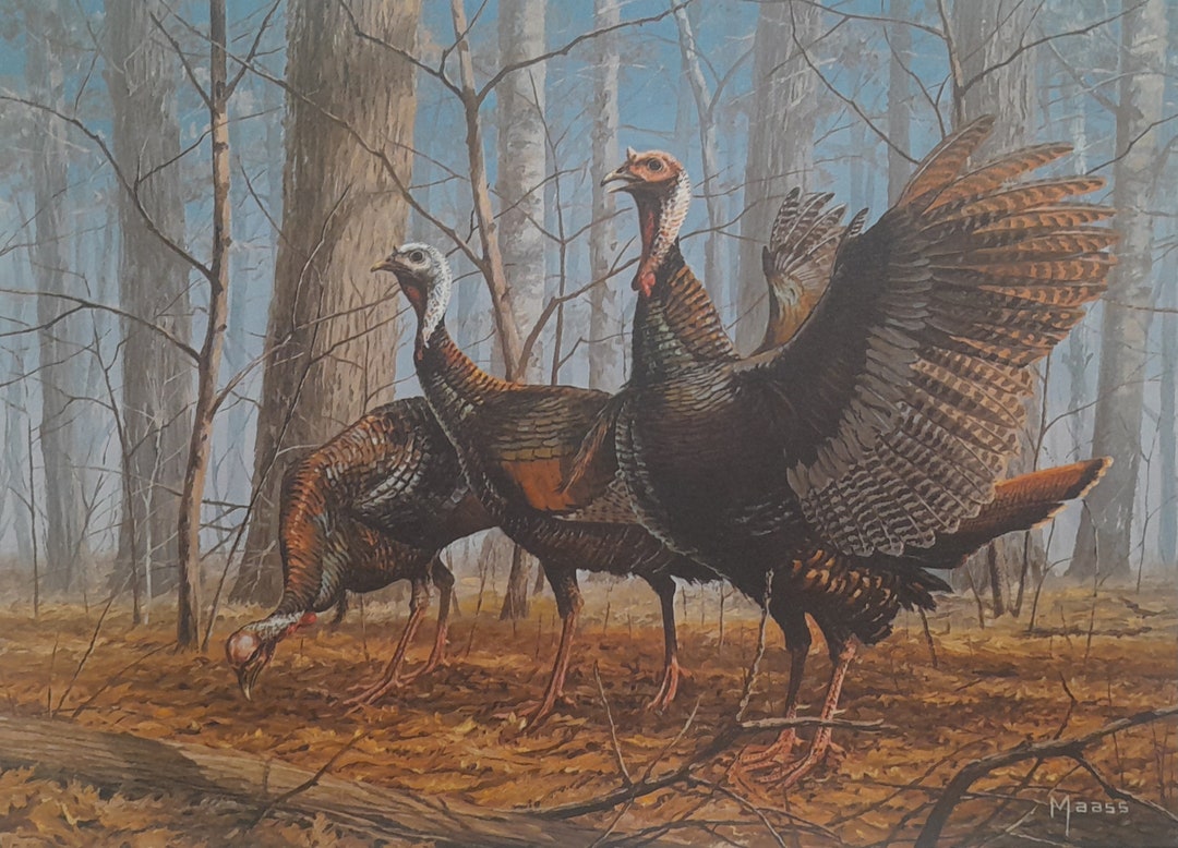 Majestic Trio - Wild Turkeys by David Maass - 1981 Wild Turkey Stamp ...