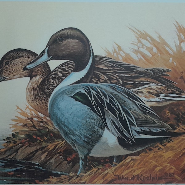 Signed Artist Stamp - Etsy