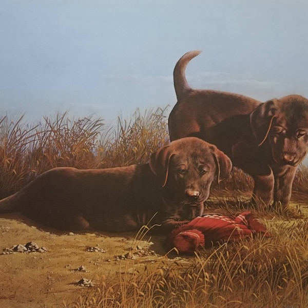 Phillip Crowe Art - Etsy