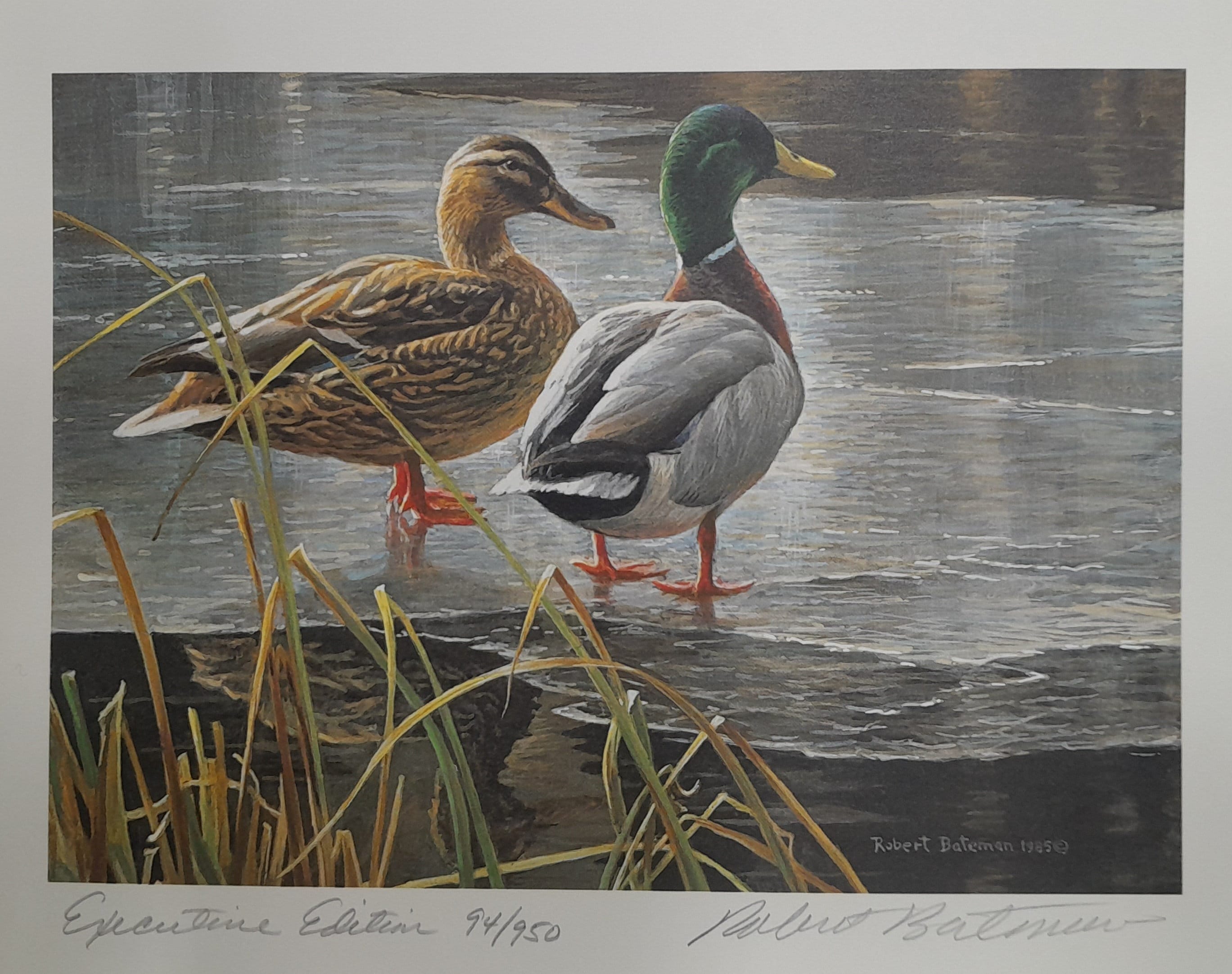 Mallard Pair -early Winter 1985 First Wildlife Habitat Canada Duck ...