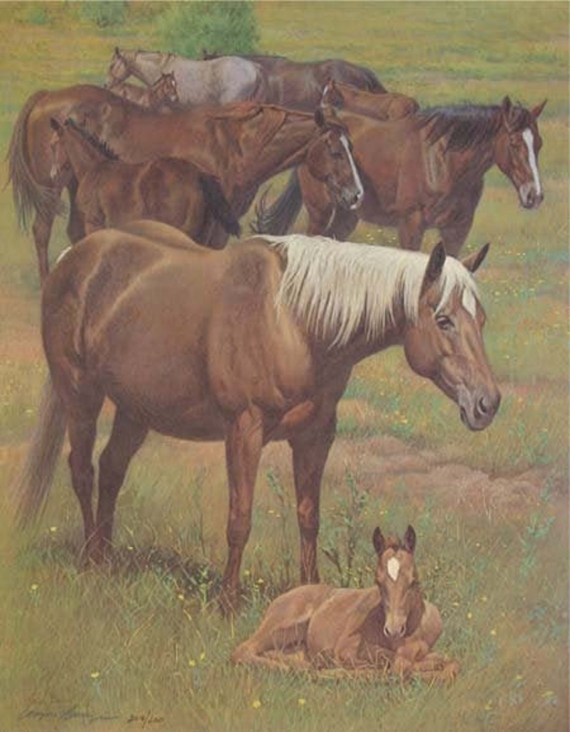 A Time to Rest - Limited Edition Print by CAA Artist Wayne Baize ...