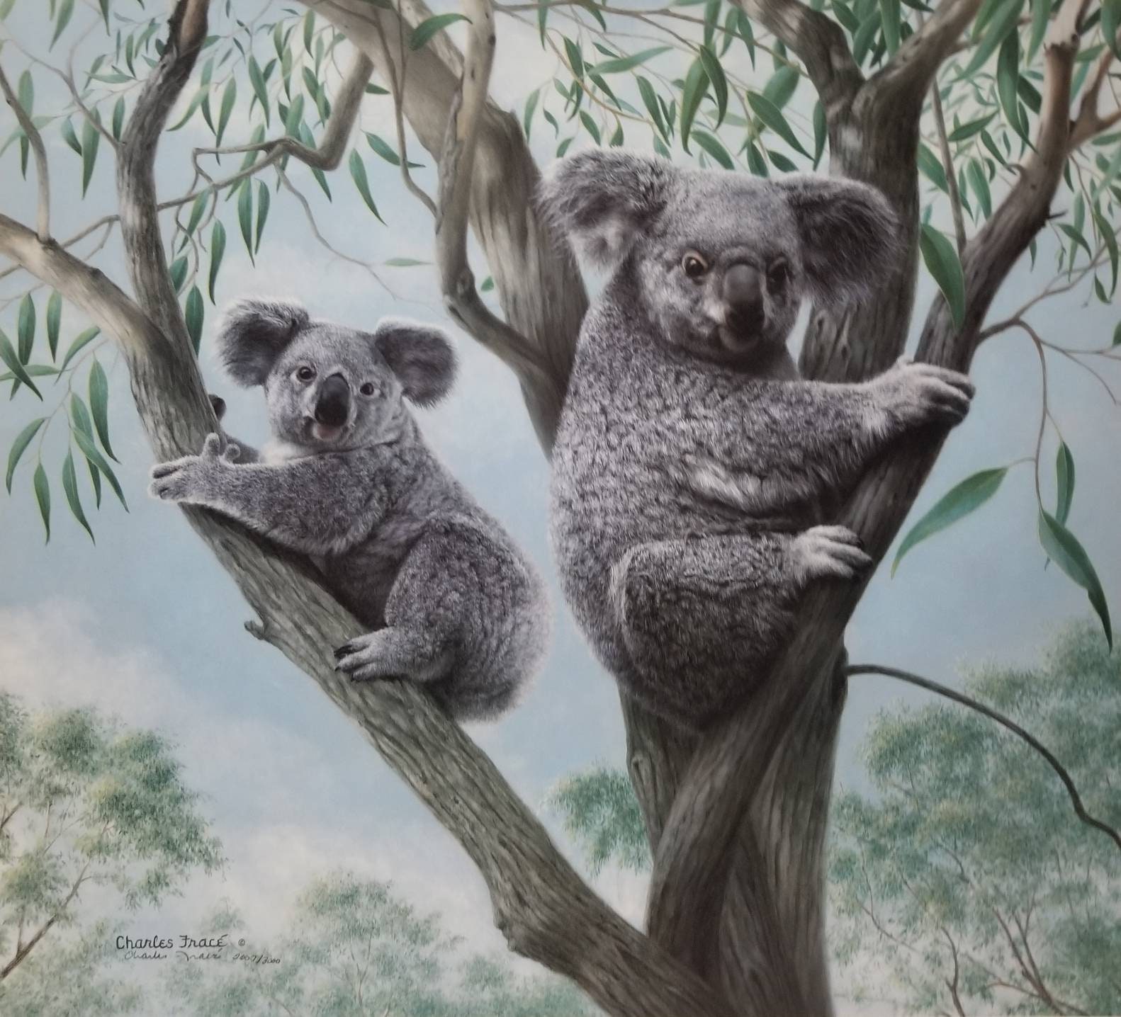 Ambassadors, Signed and Numbered Art Print by Charles Frace Koalas - Etsy