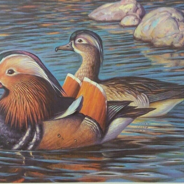 Mandarin Duck Art - Etsy