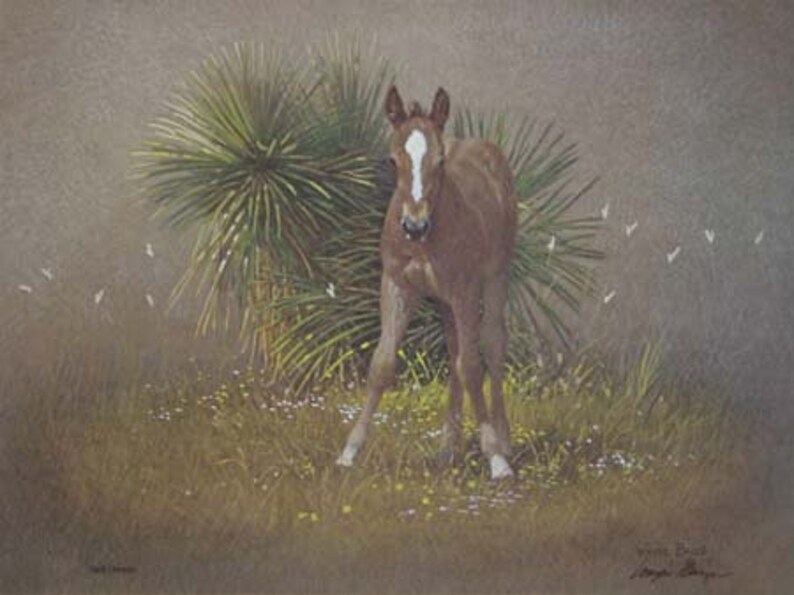 Frisky Filly - Limited Edition Print by CAA Artist Wayne Baize - Colt ...