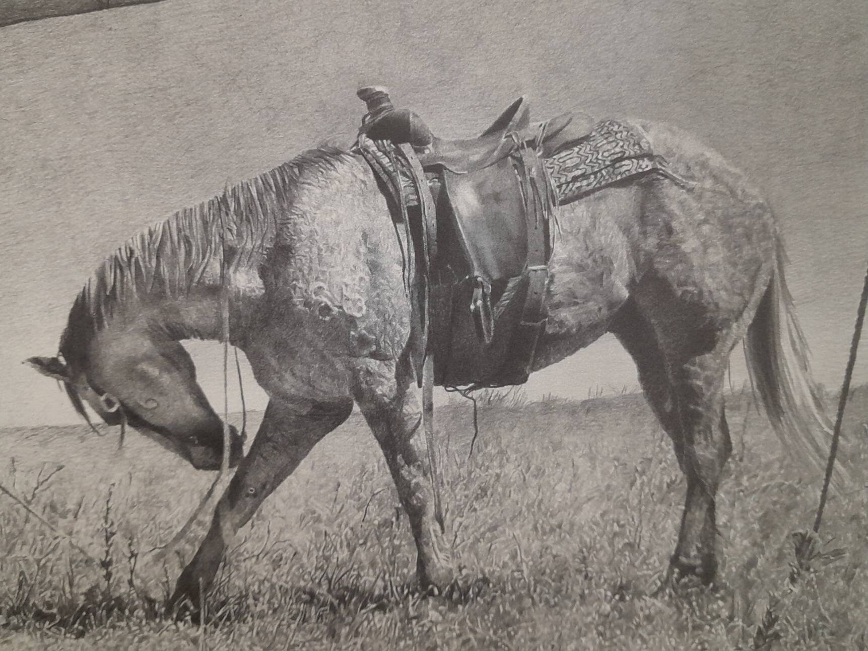 Vista Caliente, Vintage Signed Print by Woodrow M Blagg, Waggoner Ranch ...