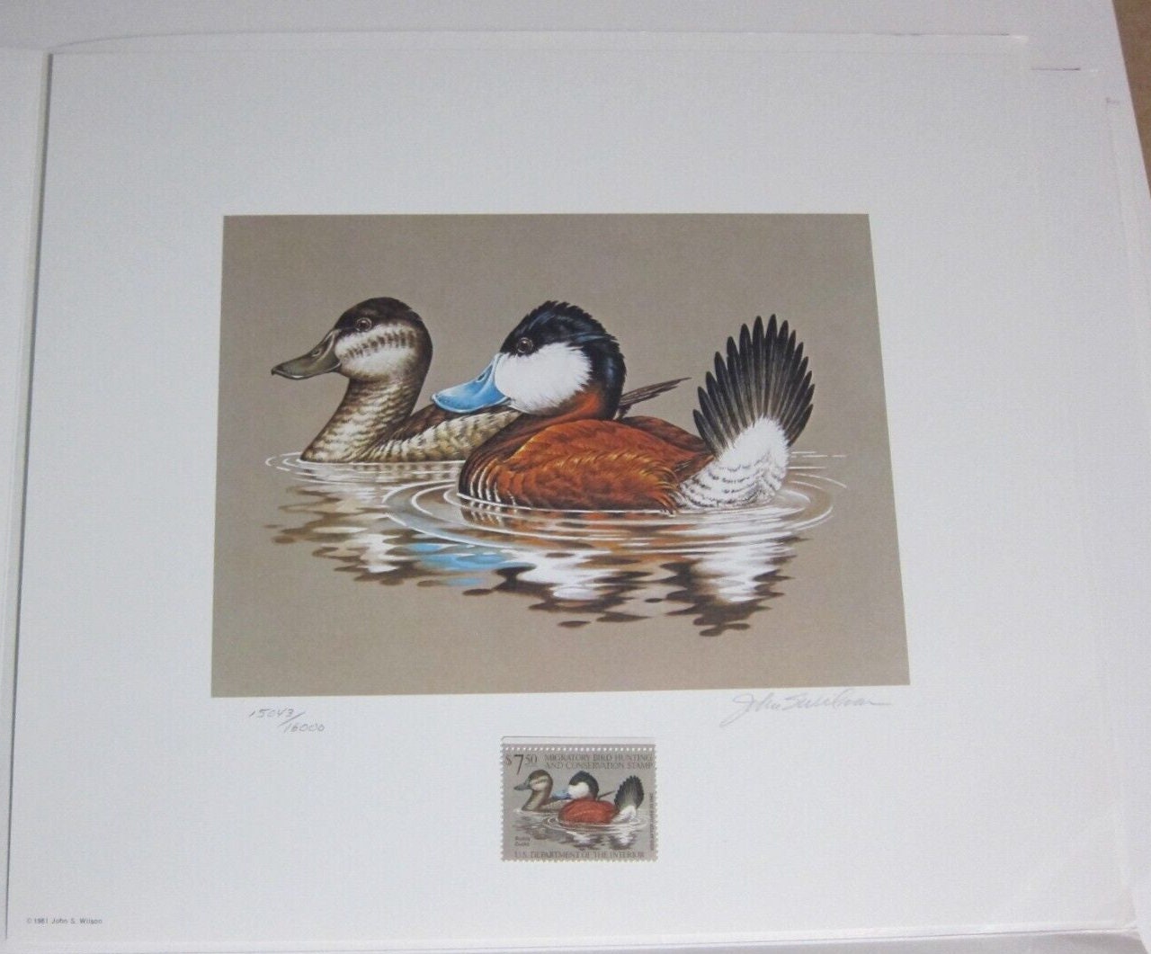 Ruddy Ducks by John S. Wilson - 1981-82 Federal Duck Stamp Print Artist ...