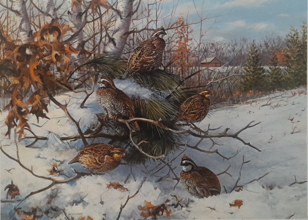 Bobwhite -winter Day by Owen J. Gromme - International Quail Foundation - 1983 Research Stamp ...