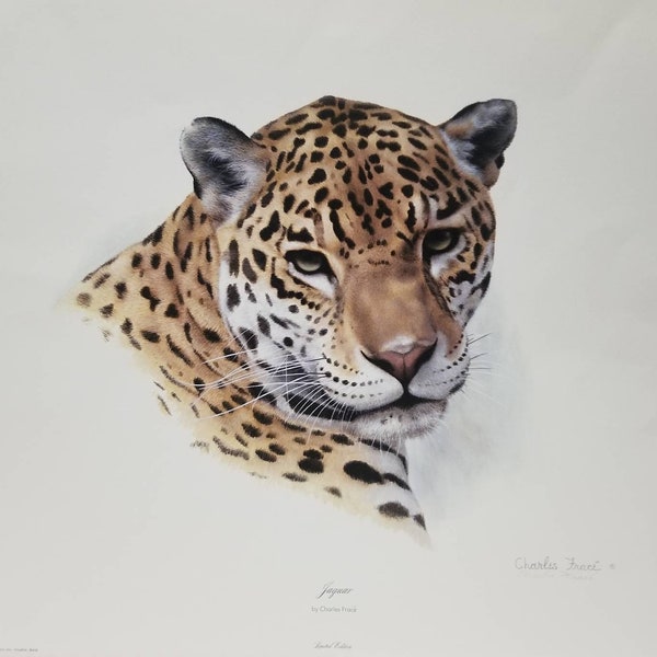 Charles Frace - Etsy