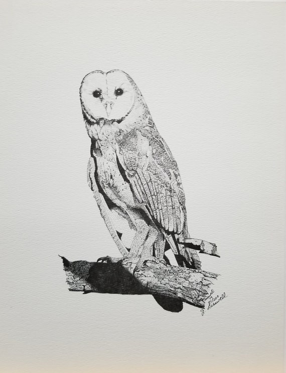Barn Owl Signed and Numbered Limited Edition Print by James | Etsy