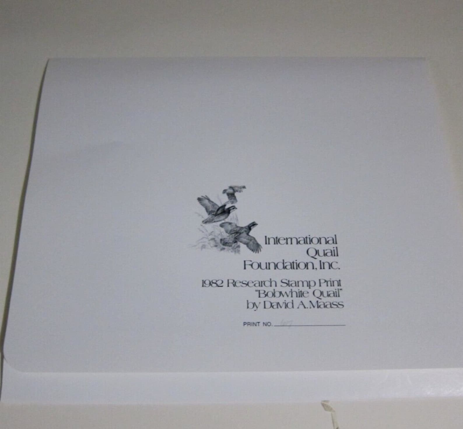 Bobwhite Quail by David Maass - International Quail Foundation - 1982 ...