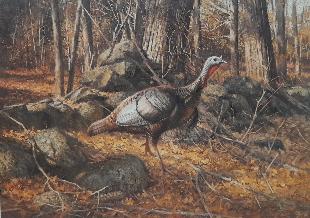Autumn Monarch by Robert K. Abbett - Wild Turkey Stamp Print, Artist ...
