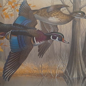Big Lake - Wood Ducks by Maynard Reece 1982-1983 Arkansas Migratory ...