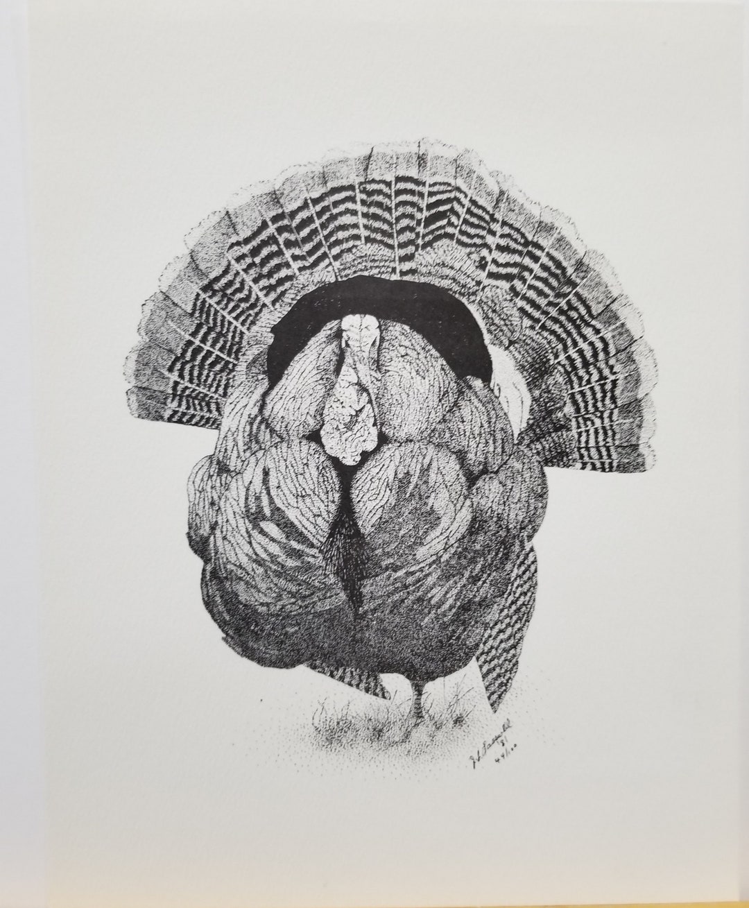 Turkey in Strut - Signed and Numbered Limited Edition Print by James ...
