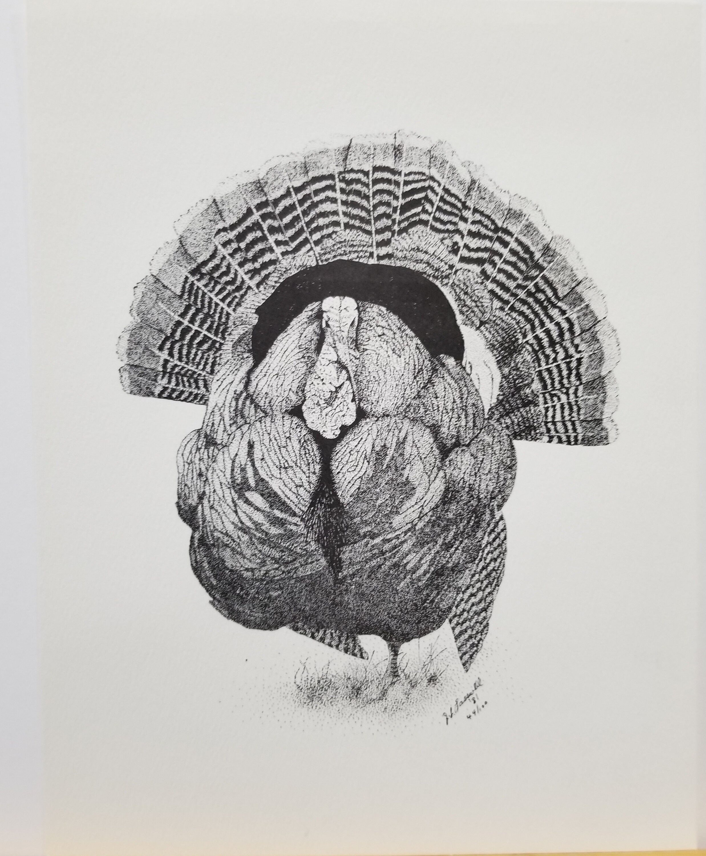 Turkey in Strut Signed and Numbered Limited Edition Print by James ...
