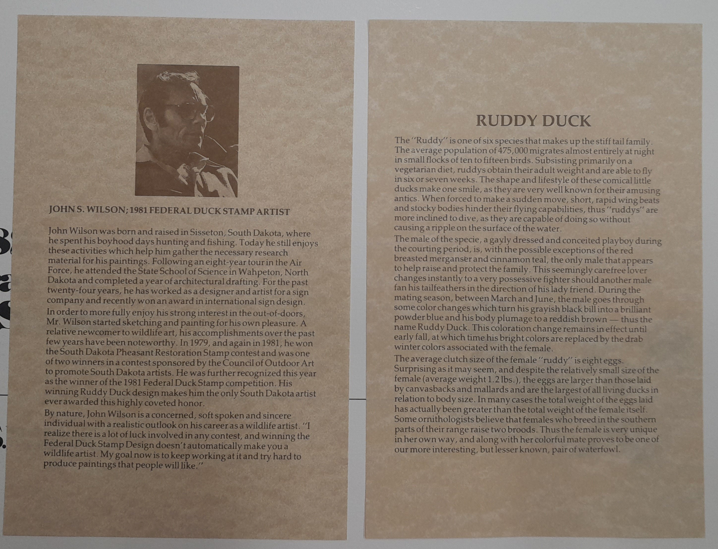 Ruddy Ducks by John S. Wilson - 1981-82 Federal Duck Stamp Print Artist ...