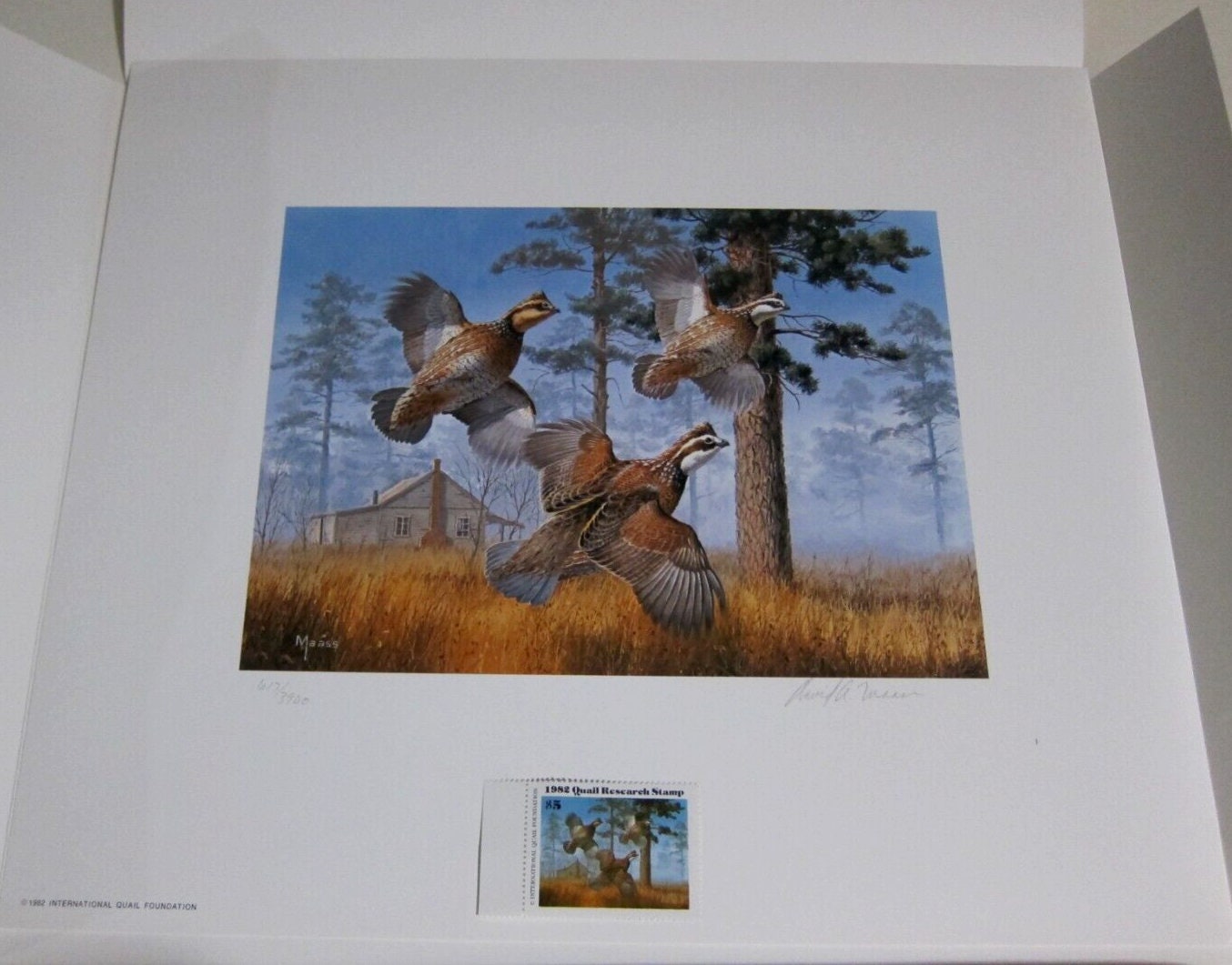 Bobwhite Quail by David Maass - International Quail Foundation - 1982 ...