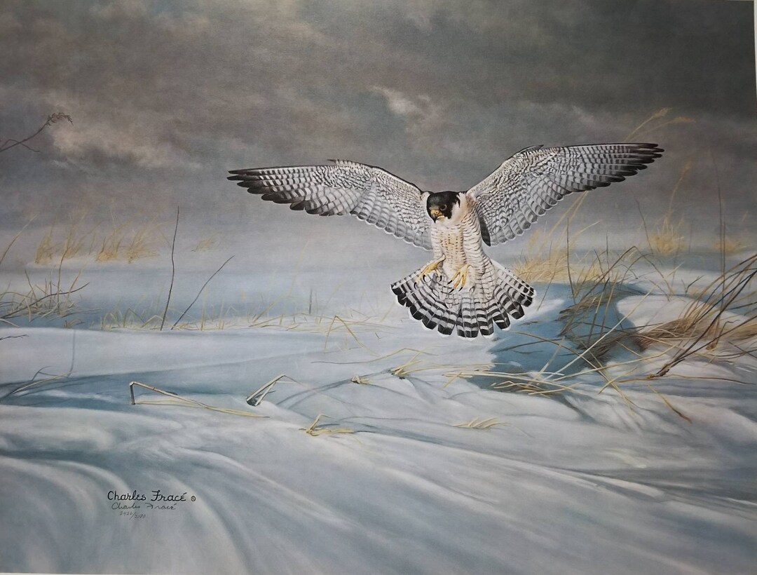 King's Favorite, Signed and Numbered Art Print by Charles Frace ...