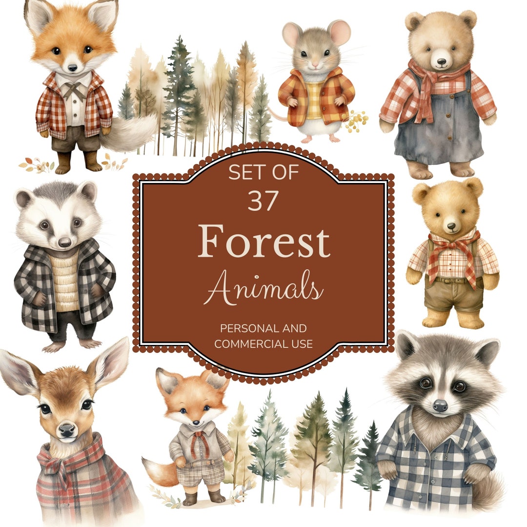 Watercolor Forest Animals Clipart: 37 Baby Animal Pngs (digital ...
