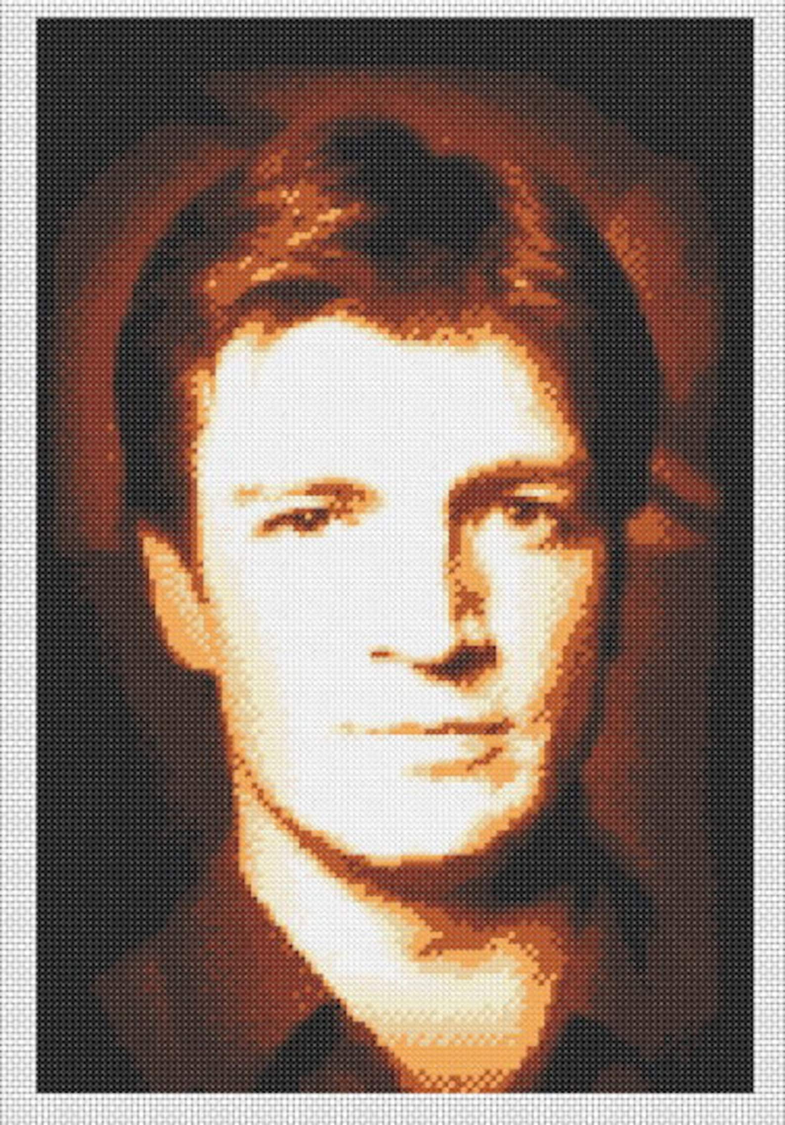 Firefly/serenity Captain Malcolm Reynolds Portrait - Etsy