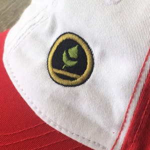 POKEMON Trainer RED Hat Costume - Cosplay - Anime - Nintendo in STOCK ...