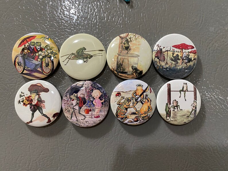 8 Frog Fridge Magnets Toads Frogs Reptiles SET 6 With - Etsy