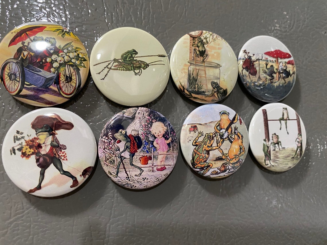 8 Frog Fridge Magnets Toads Frogs Reptiles SET 6 With - Etsy