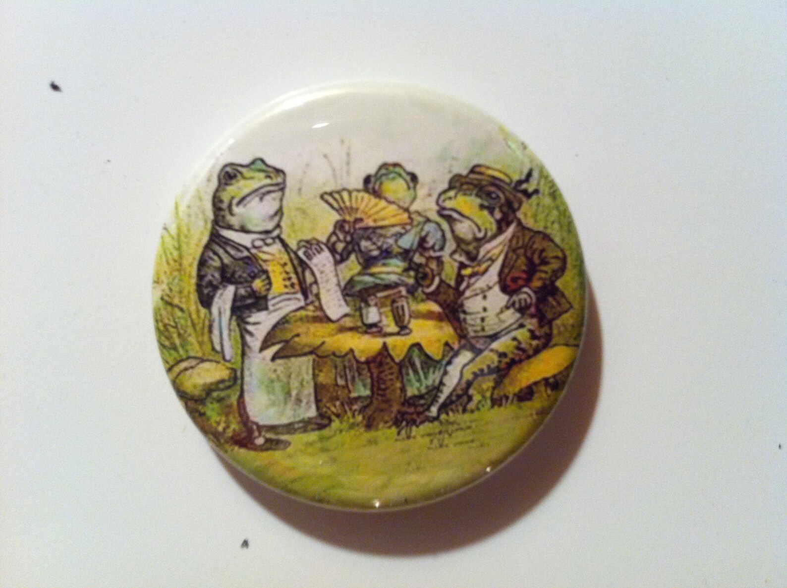 8 Frog Fridge Magnets Toads Frogs Reptiles SET 1 With - Etsy