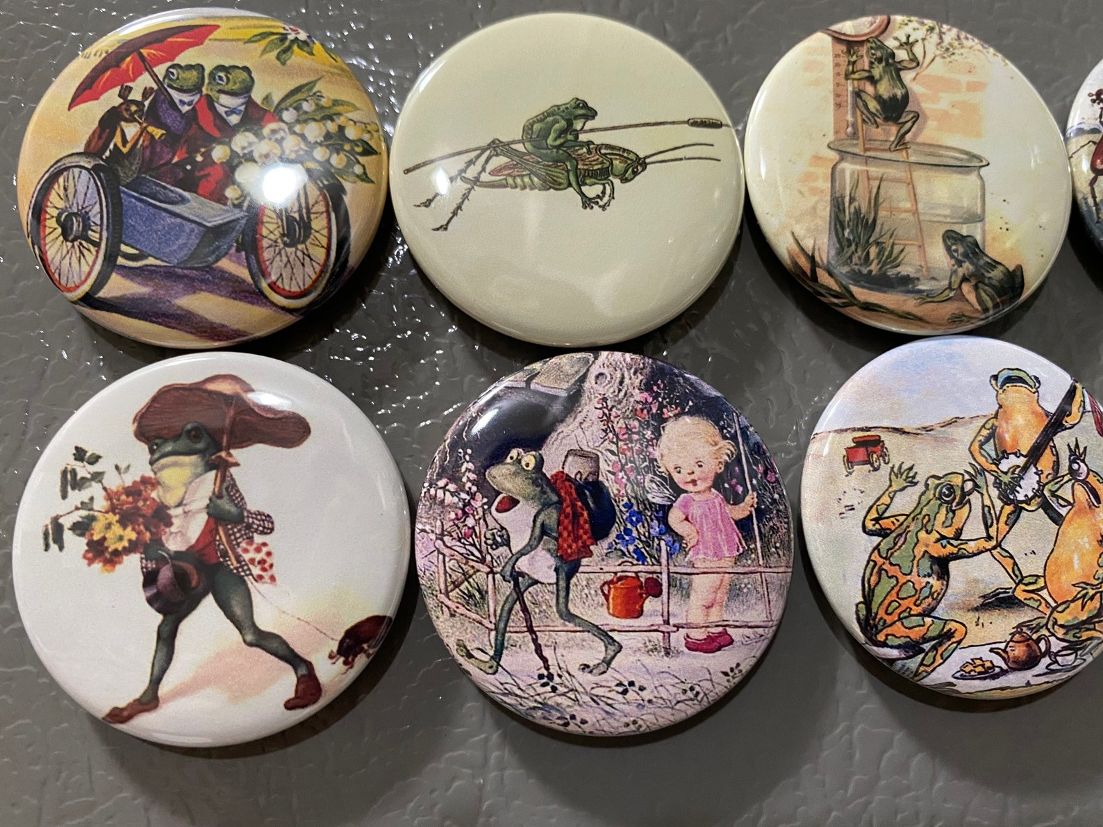 8 Frog Fridge Magnets Toads Frogs Reptiles SET 6 With - Etsy