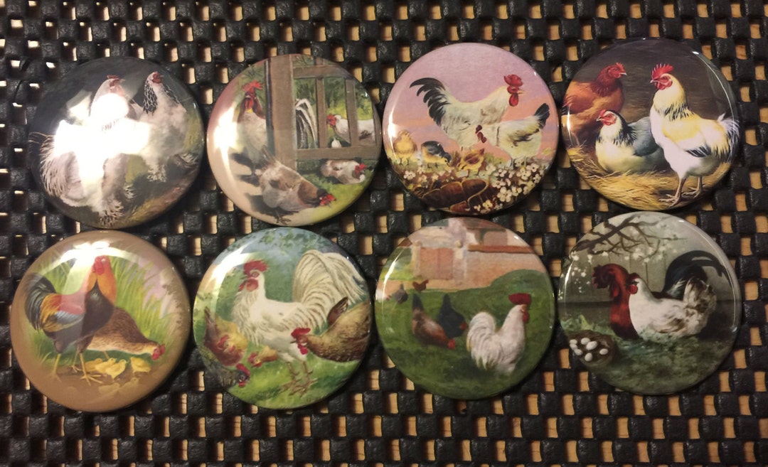 8 Vintage Rooster, Chickens Fridge Magnets, Pinbacks or Flatbacks ...