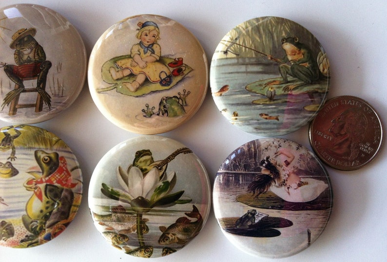 8 Frog Fridge Magnets Toads Frogs Reptiles SET 3 With - Etsy