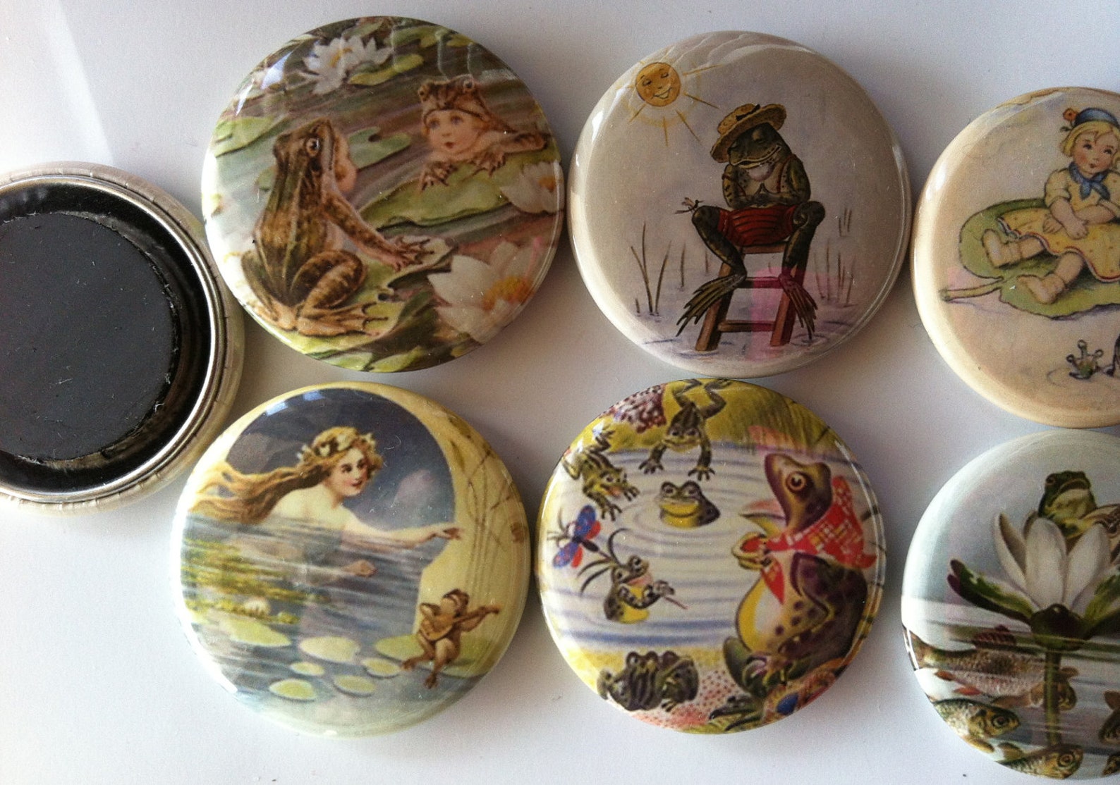 8 Frog Fridge Magnets Toads Frogs Reptiles SET 3 With - Etsy