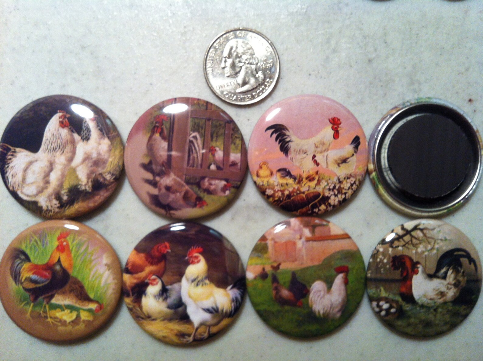8 Vintage Rooster Chickens Fridge Magnets Pinbacks or | Etsy